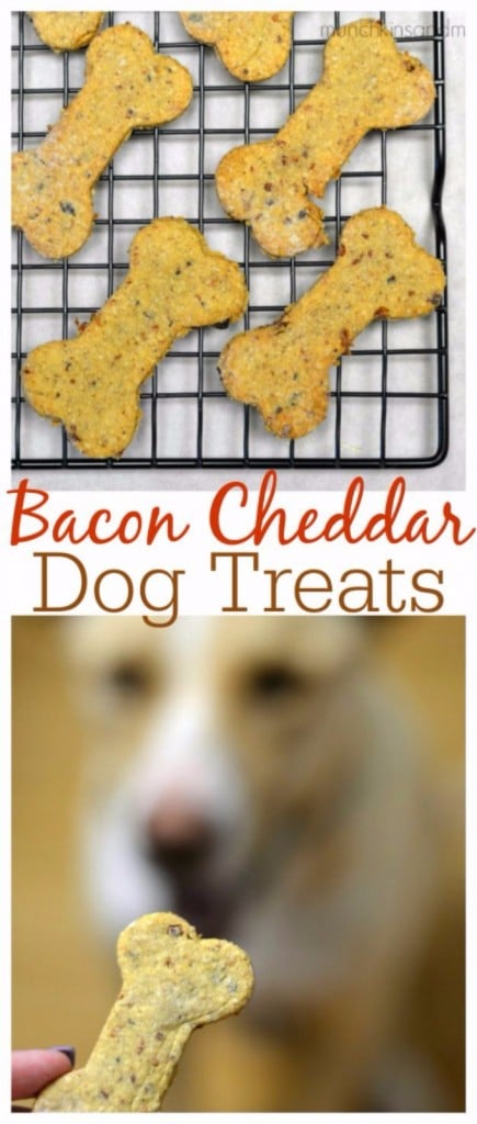 35 Homemade Pet Recipes For Dogs and Cats