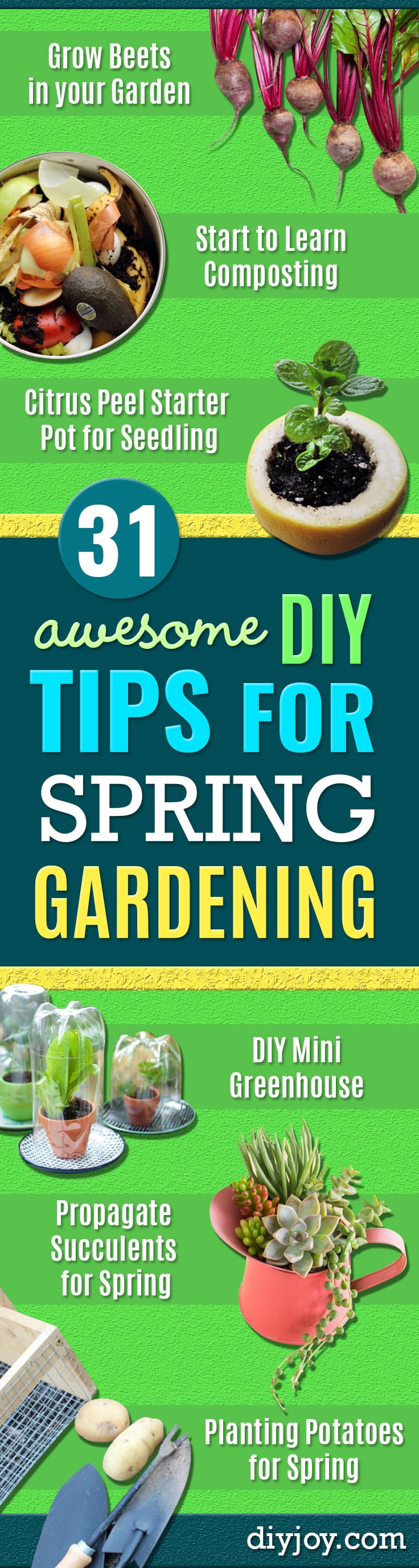 31 DIY Tips For Spring Gardening 31 DIY Tips For Spring Gardening