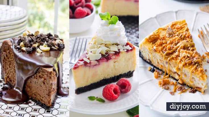38 Creative Cheesecake Recipes - DIY Joy