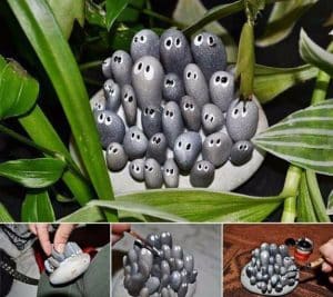 50 Stone, Pebble and Rock Crafts To Try