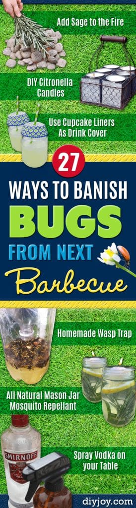 27 Ways to Banish Bugs From Next Barbecue