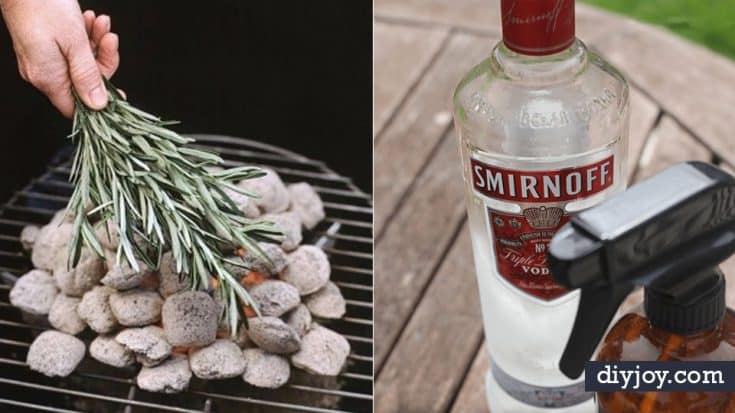 27 Ways to Banish Bugs From Next Barbecue - DIY Joy