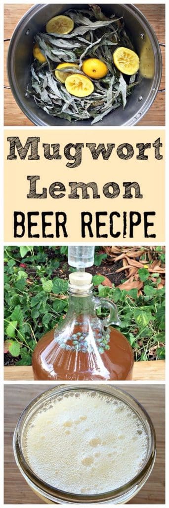 31 Best Homemade Beer Recipes - DIY Joy