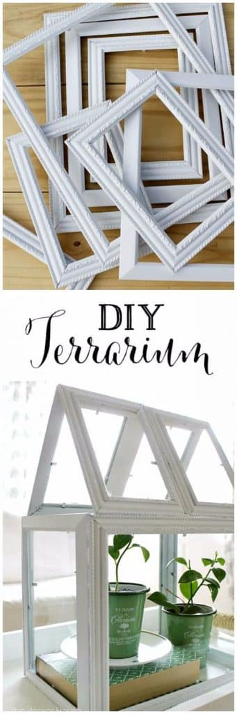 36 Impressive DIY Terrarium Ideas - DIY Joy