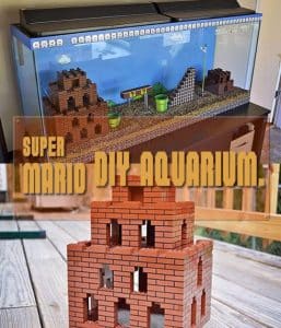30 Brilliantly Creative DIY Aquariums