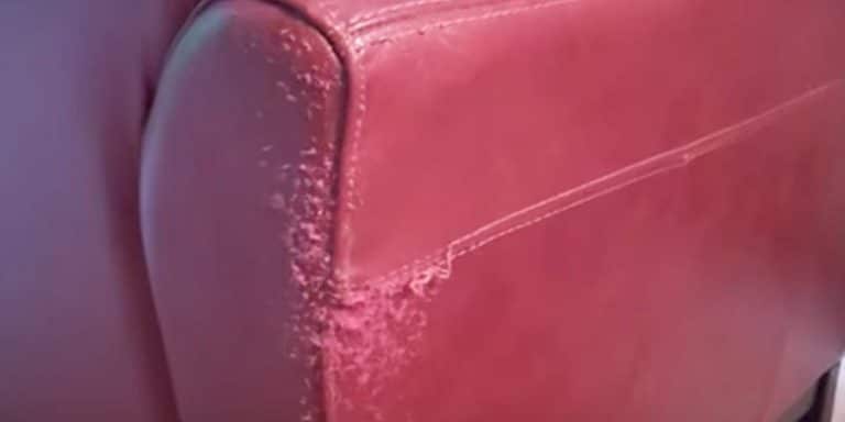 Her Cat Scratched Up Her Leather Sofa And Here S What She Did To Repair