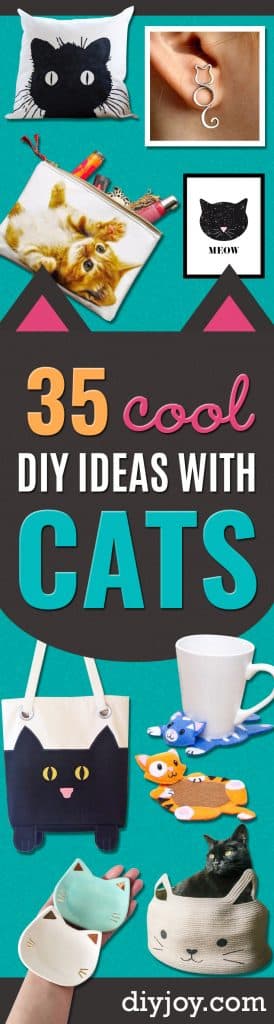 35 Cutest DIY Ideas With Cats