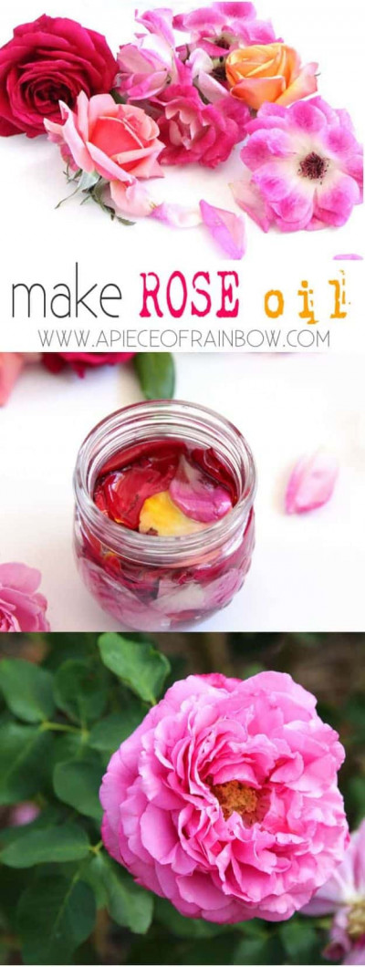 34 Most Beautiful Rose Crafts Ever Created - DIY Joy