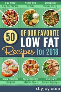 50 of our Favorite Low-Fat Recipes for 2020