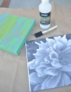 36 Cool Canvas and Image Transfer Ideas - DIY Joy