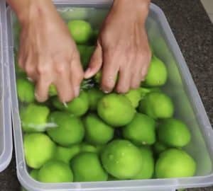 How To Keep Limes Fresh Longer - DIY Joy