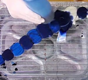 Water Drop Tie-Dye Technique - DIY Joy
