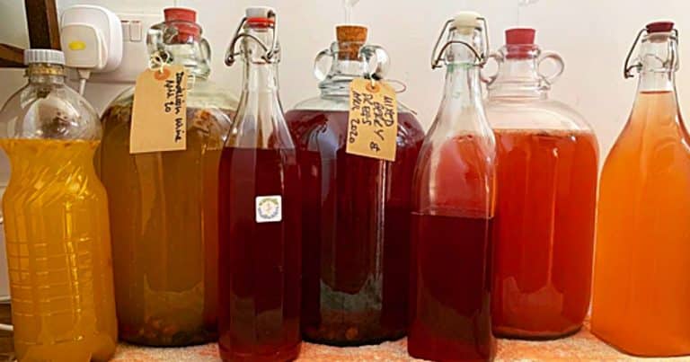 How To Make A $1 Bottle Of Wine In 5 Minutes - DIY Joy