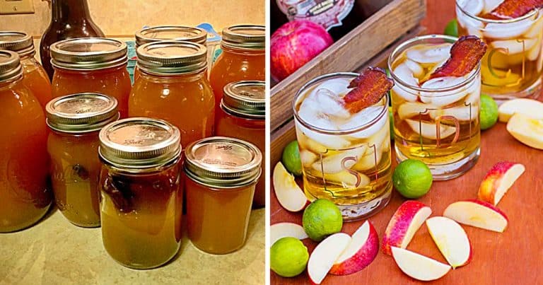 How To Make Applejack Freezer Moonshine - DIY Joy