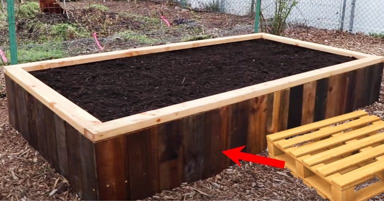 How To Build A Raised Bed Using Pallets - DIY Joy