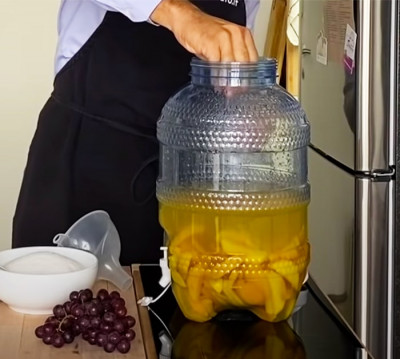 Mango Wine Recipe - DIY Joy