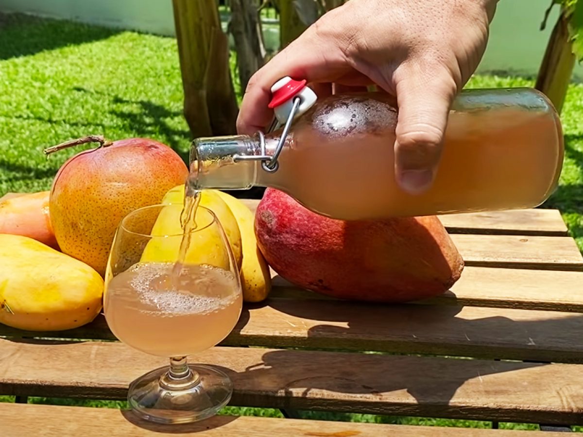 Mango Wine Recipe 5 Gallon | Bryont Blog