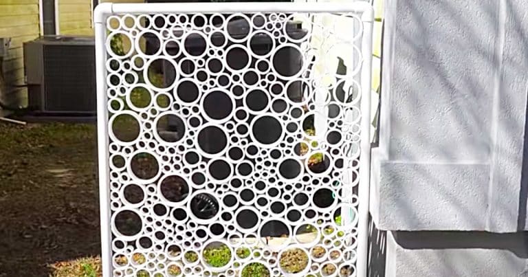 How To Make A PVC Pipe Privacy Screen - DIY Joy