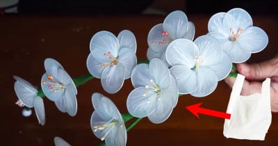 DIY Recycled Plastic Flowers - DIY Joy