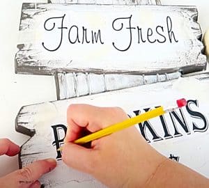 How To Make a Dollar Tree Reversible Easel Sign - DIY Joy