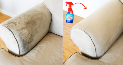 How To Remove Stains Off The Couch - DIY Joy