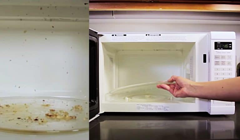 How To Clean A Microwave Naturally - DIY Joy