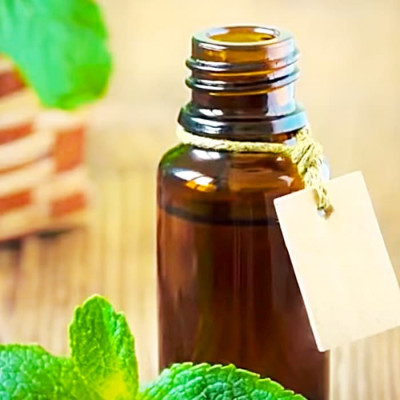 How To Get Rid of Mice and Rats With Irish Spring - DIY Joy