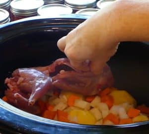 Slow Cooker Squirrel Stew Recipe - DIY Joy