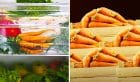How To Store Food Properly To Make It Last - DIY Joy
