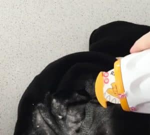 How To Remove Deodorant Build Up From Dark Clothing - DIY Joy