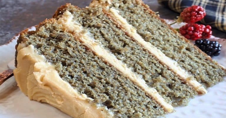 Old Fashioned Blackberry Jam Cake Recipe - DIY Joy