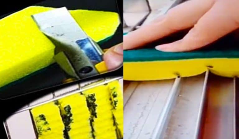 How To Cut A Sponge To Clean Windows - DIY Joy