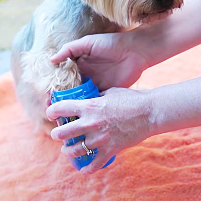 11 Life Hacks For Dogs - DIY Joy