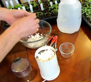 DIY Eggshell Puree For A Healthy Garden - DIY Joy