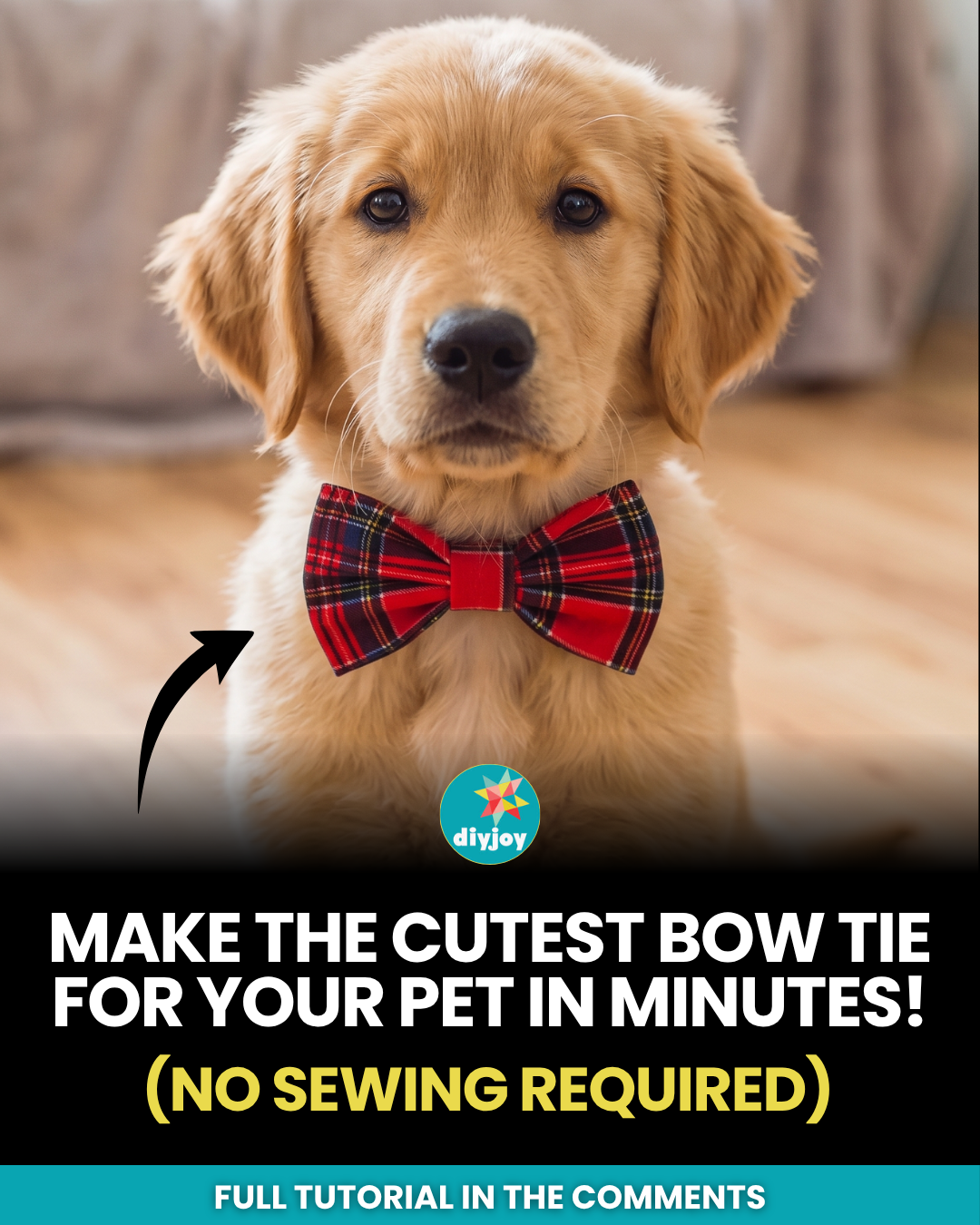 No-Sew Doggie Bow Tie With Free Pattern - DIY Joy