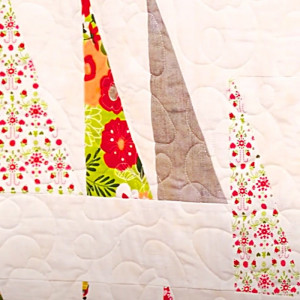 Triple Play Wing Quilt With Jenny Doan - DIY Joy