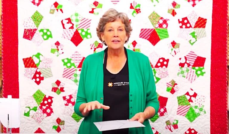 Periwinkle Plates Quilt With Jenny Doan - DIY Joy