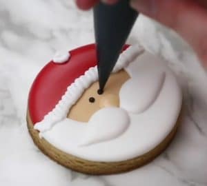 Easy Beginner Christmas Cookie Tutorial - DIY Joy