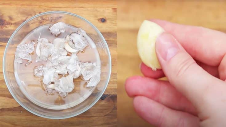 The Easy Way to Peel Garlic - DIY Joy