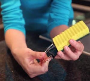 How to Sanitize Your Kitchen Sponge - DIY Joy