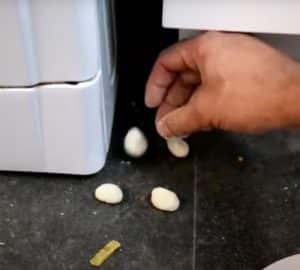 How to Kill Cockroaches in 5 Minutes - DIY Joy