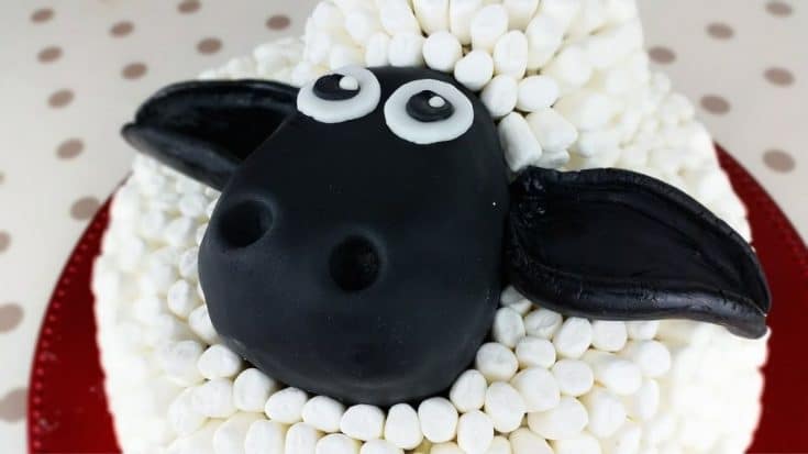 Easy Last-Minute Sheep Cake Recipe - DIY Joy