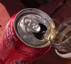 How To Get Rid of Hornets, Yellow Jackets, and Wasps