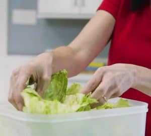How To Keep Lettuce Fresh & Store It For A Week - DIY Joy