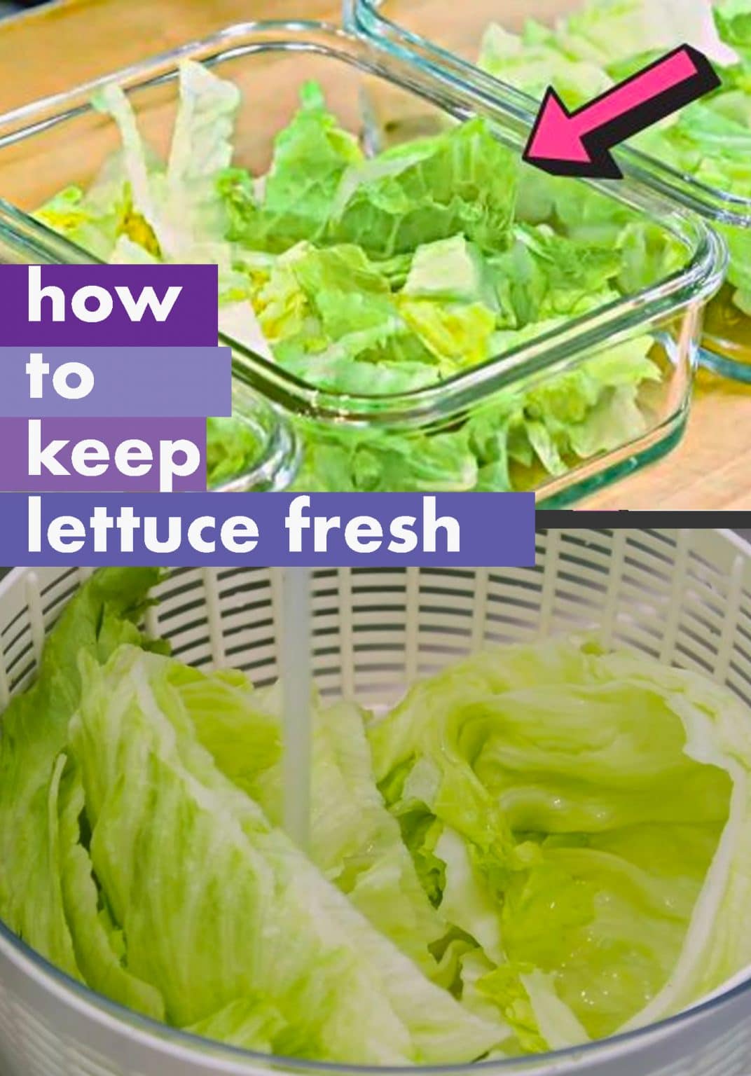 How To Keep Lettuce Fresh & Store It For A Week