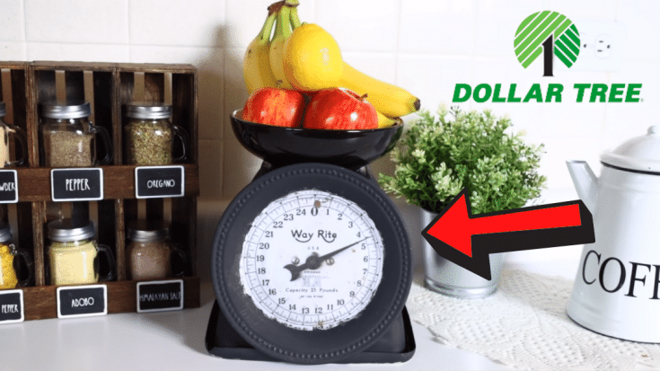 10 Dollar Tree Kitchen Organization DIYs - DIY Joy
