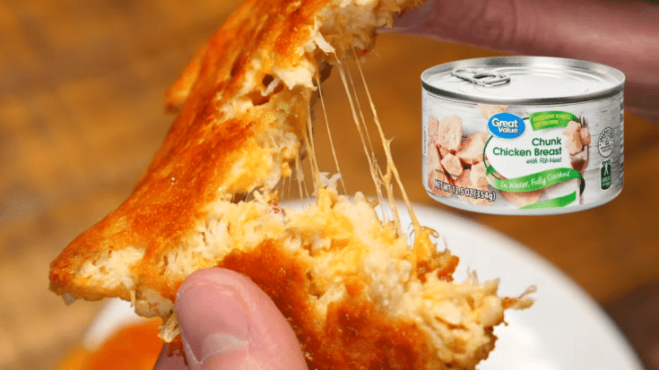 Easy Cheesy Canned Chicken Patties - DIY Joy