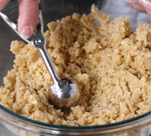 Oatmeal Jammys Recipe - DIY Joy