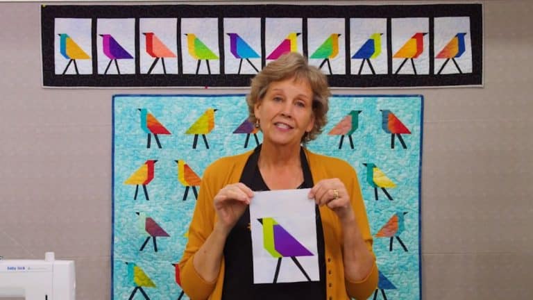 Block Lotto Bird Quilt - DIY Joy