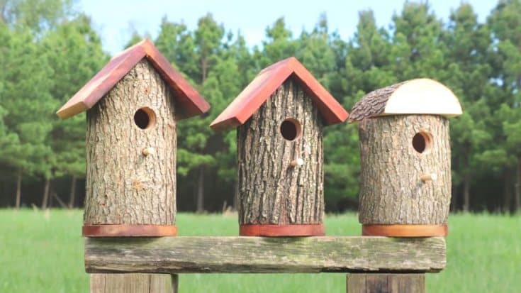 DIY Birdhouses Made Out Of Natural Log - DIY Joy